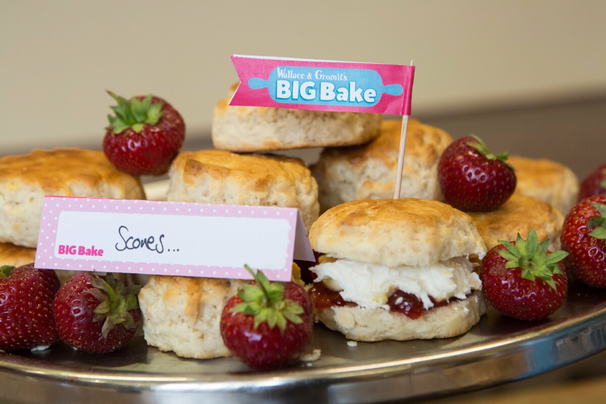 BIG Bake Extra Resources - The Grand Appeal