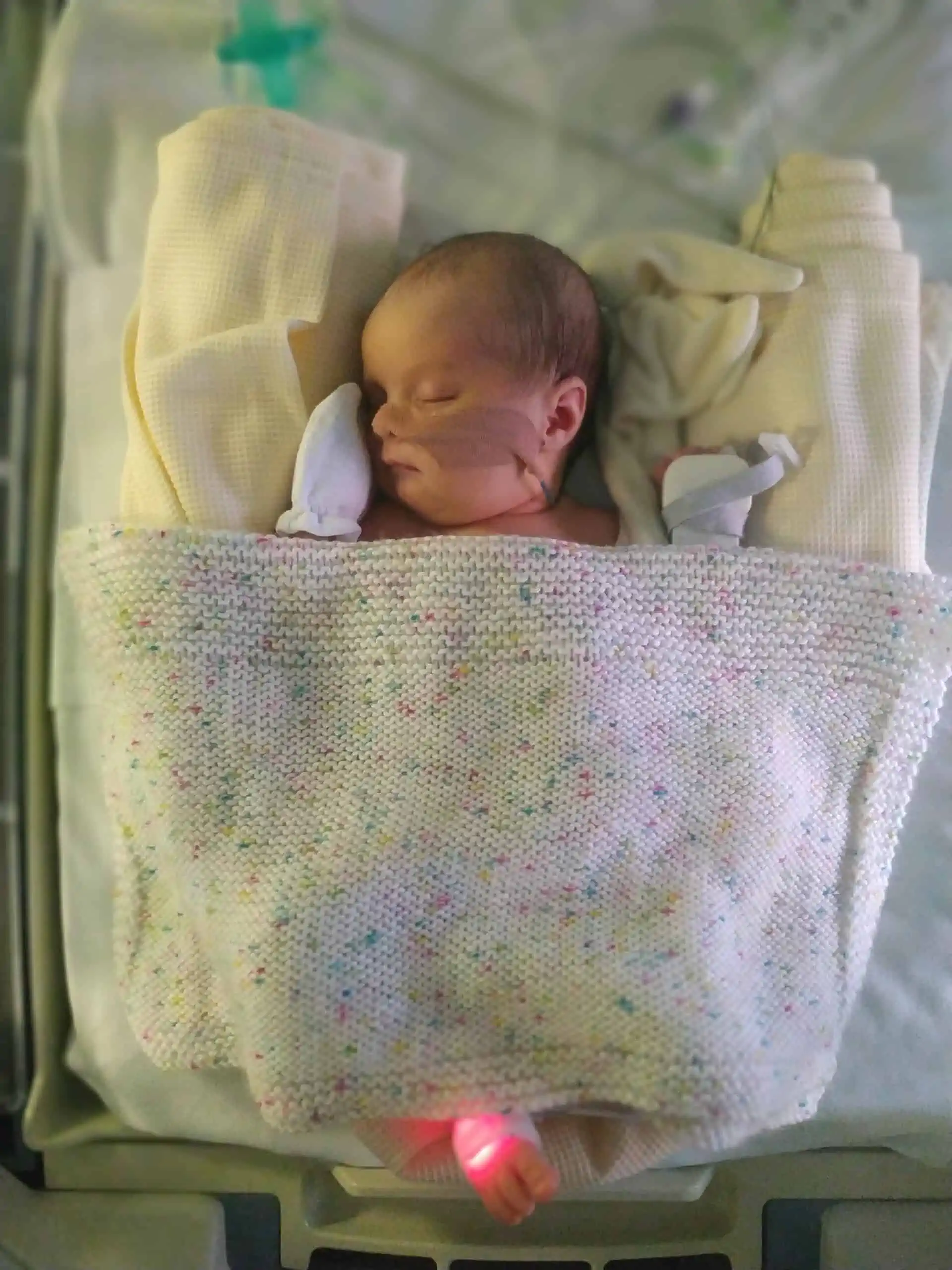 Ian’s Hair Gets the Chop for Cots for Tots! - The Grand Appeal