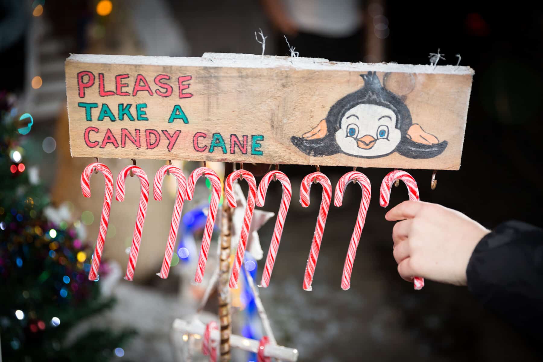 Shine Bright for Bristol Children's Hospital - The Grand Appeal