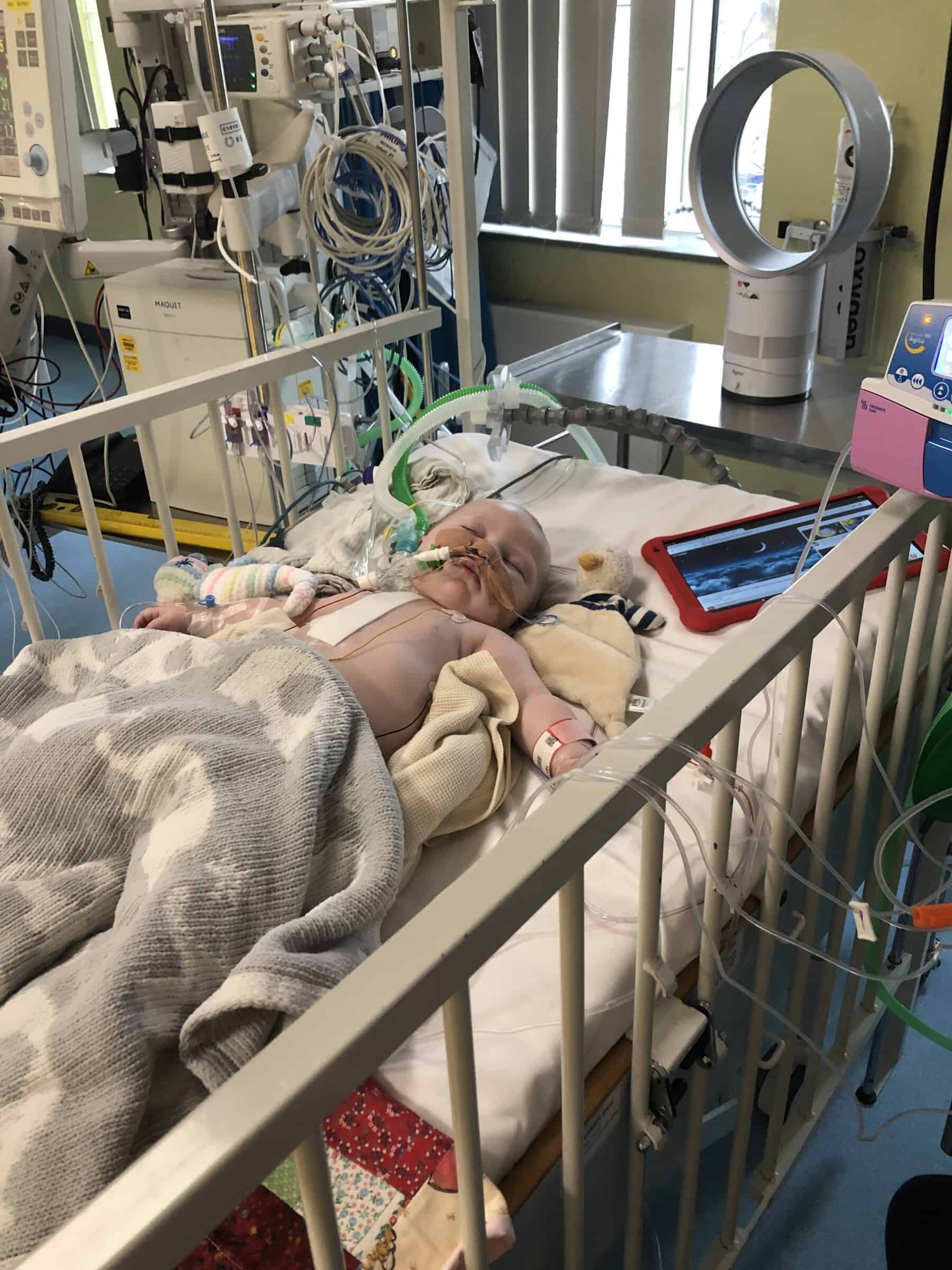 Aurora - The Grand Appeal