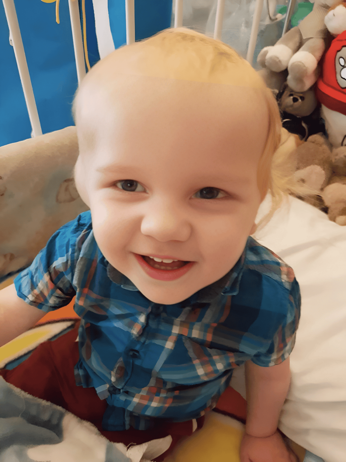 Harry - The Grand Appeal